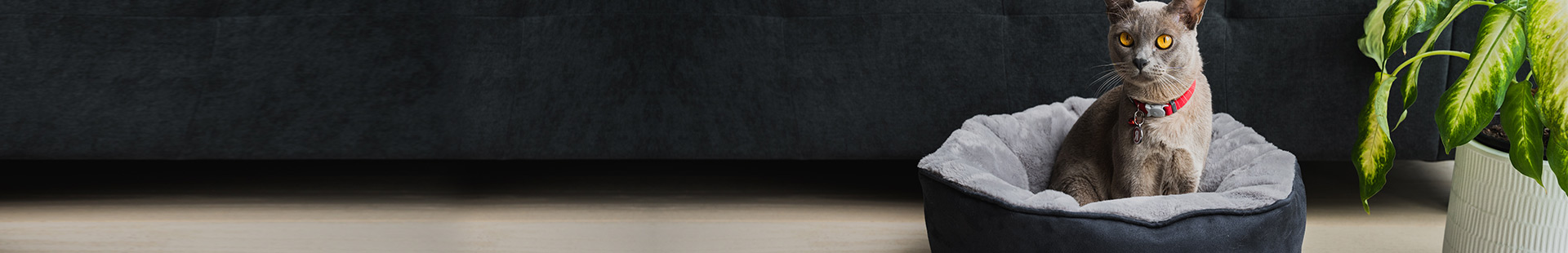Cosy & Warm Cat Beds | Red Dingo