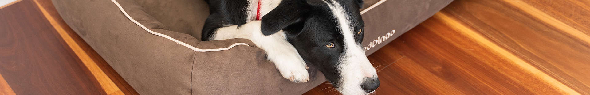 Best Quality Dog Beds | Red Dingo