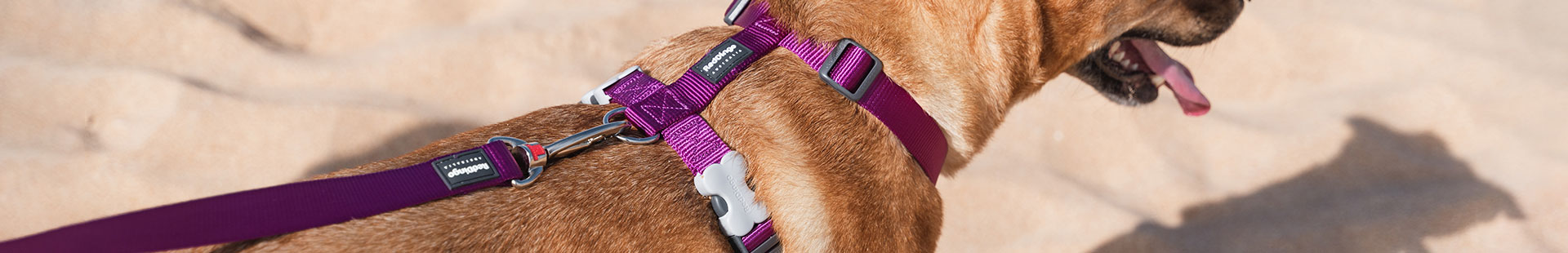 Comfortable H-Style Harnesses | Red Dingo